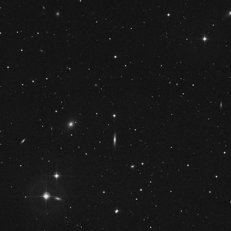 IC 117 - Star in Cetus | TheSkyLive