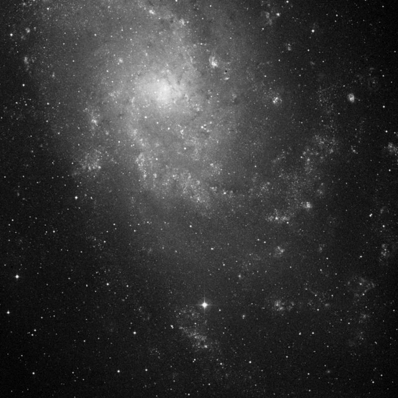 IC 137 - Association of Stars in Triangulum | TheSkyLive