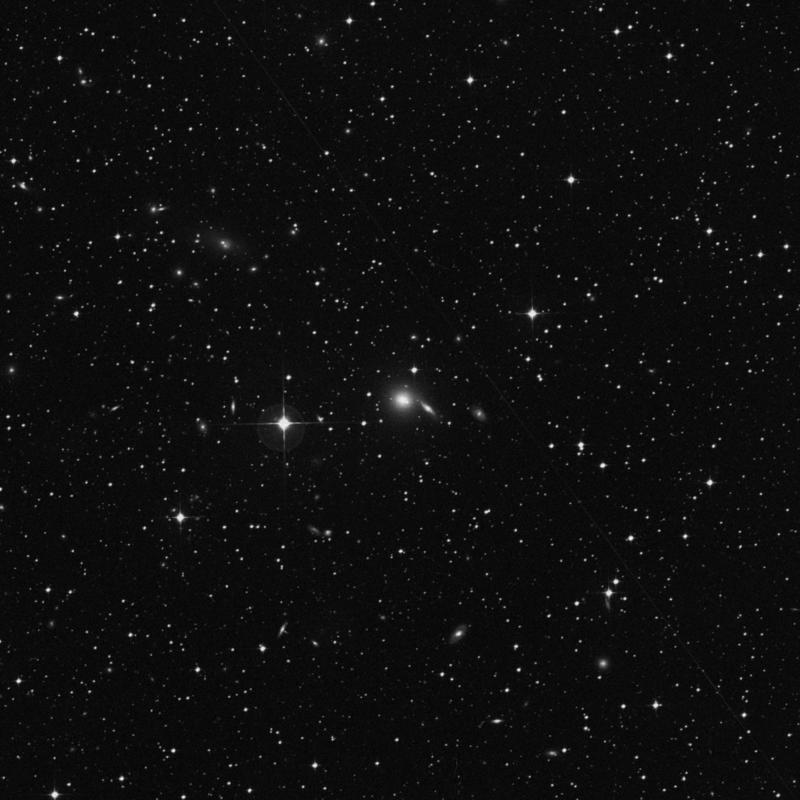 NGC 5193 - Elliptical Galaxy in Centaurus | TheSkyLive