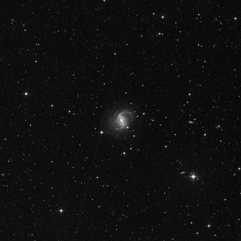 NGC 5921 - Spiral Galaxy in Serpens | TheSkyLive