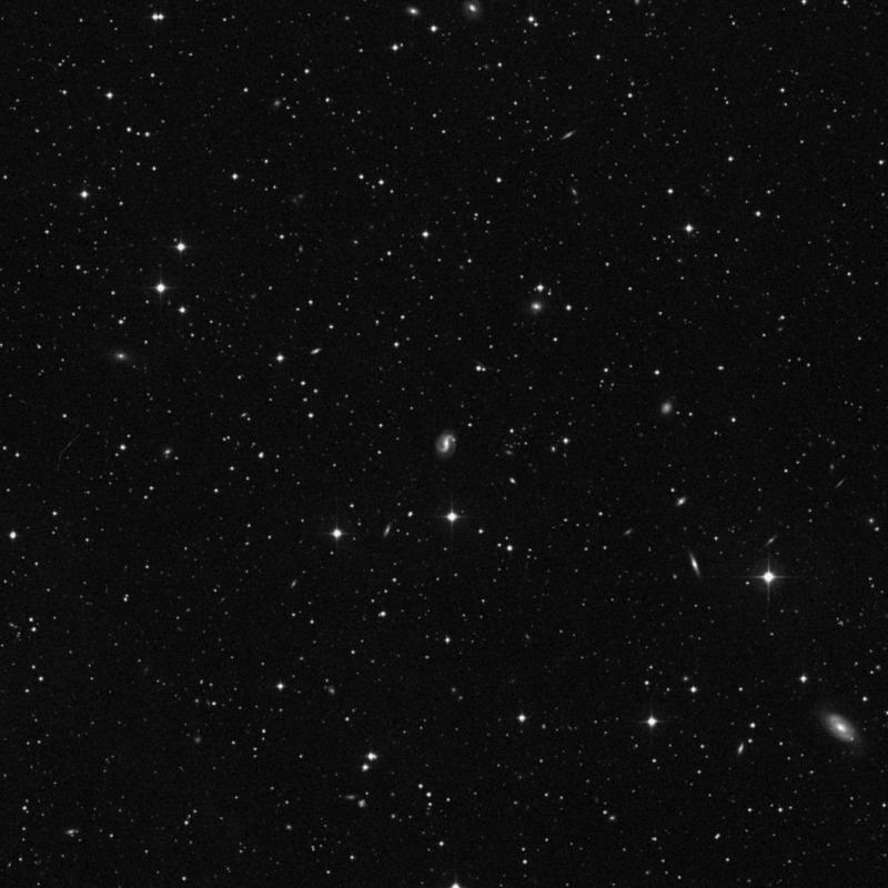 NGC 6336 - Spiral Galaxy in Hercules | TheSkyLive