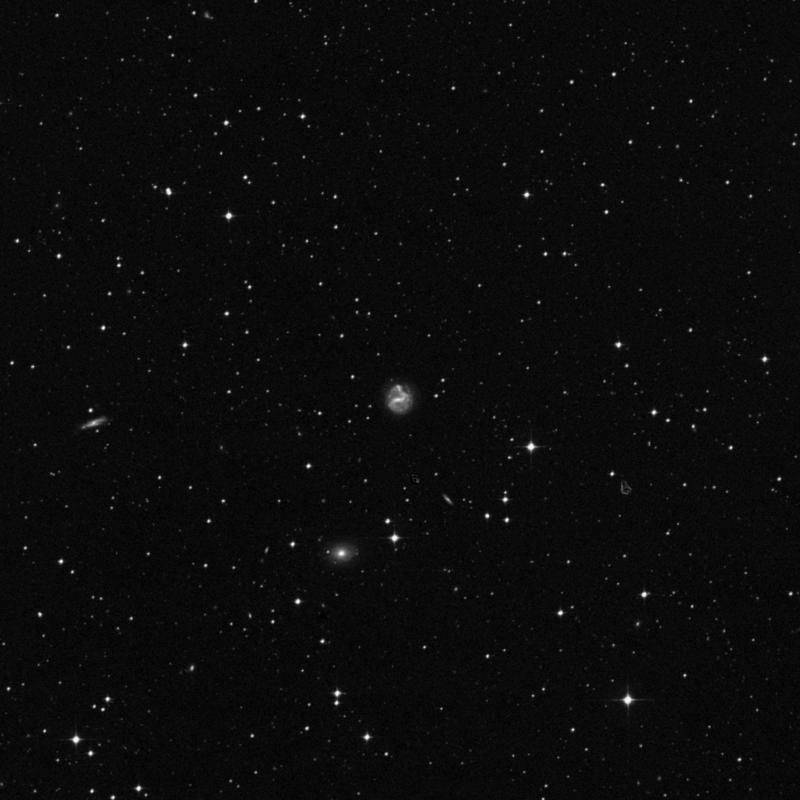 NGC 7650 - Galaxy in Tucana | TheSkyLive
