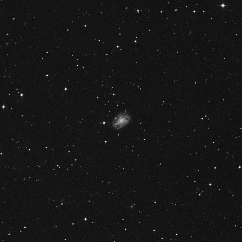NGC 7689 - Intermediate Spiral Galaxy in Phoenix | TheSkyLive