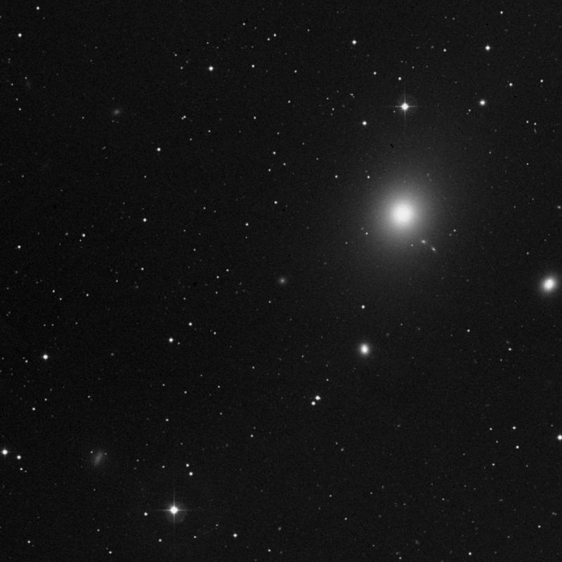 IC 3443 - Elliptical Galaxy in Virgo | TheSkyLive