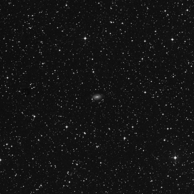 IC 4654 - Intermediate Spiral Galaxy in Apus | TheSkyLive