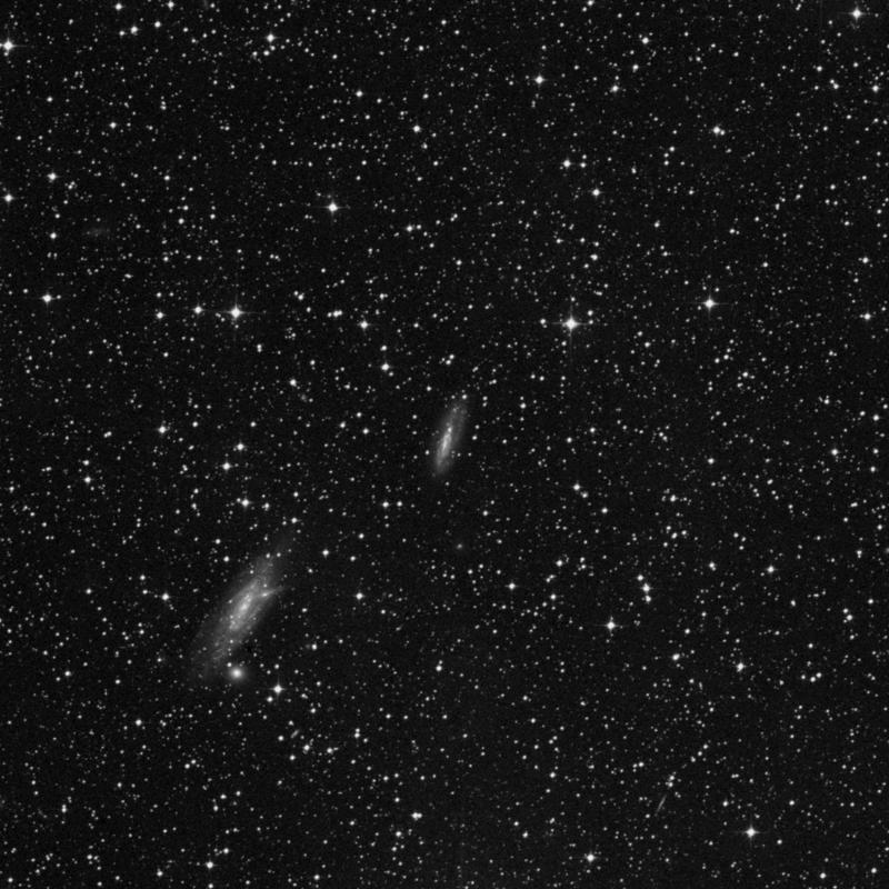 IC 4720 - Galaxy in Pavo | TheSkyLive