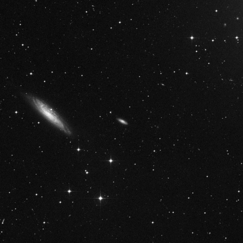 NGC 131 - Barred Spiral Galaxy in Sculptor | TheSkyLive