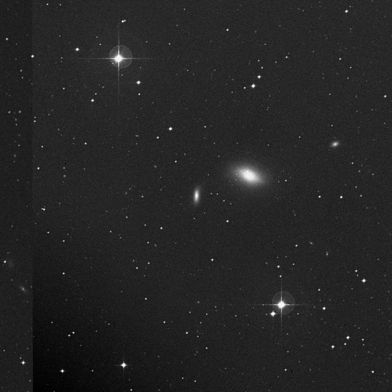 NGC 586 - Spiral Galaxy in Cetus | TheSkyLive