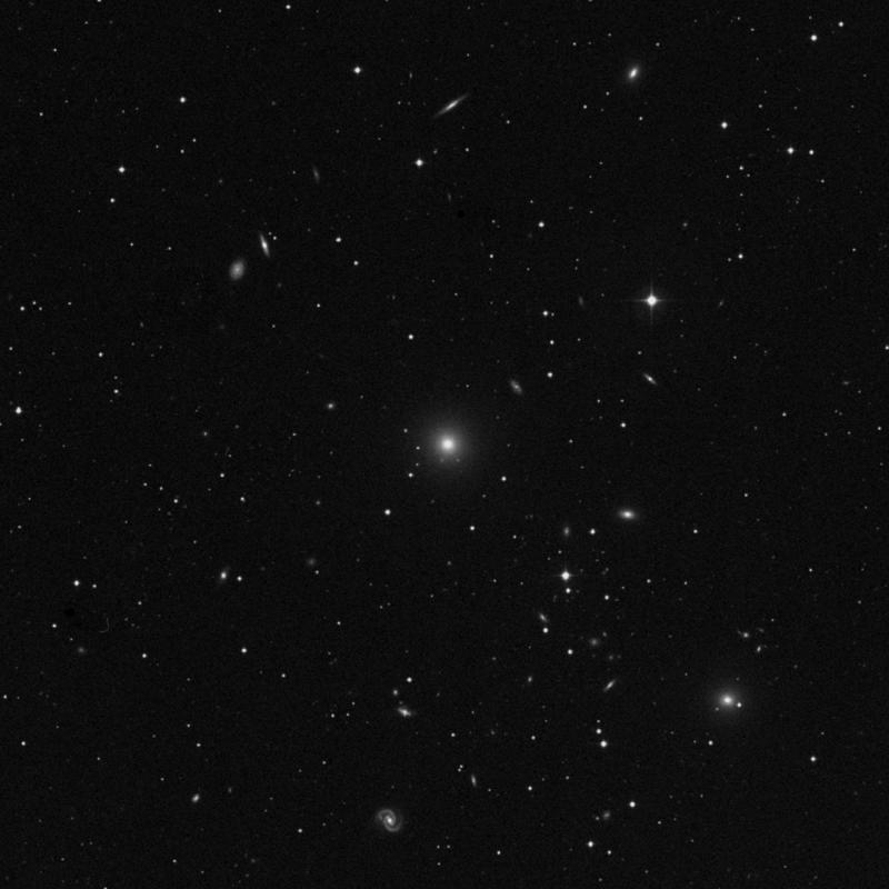 NGC 1016 - Elliptical Galaxy in Cetus | TheSkyLive