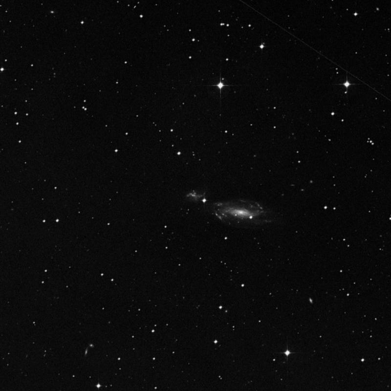 NGC 1253A - Barred Spiral Galaxy in Eridanus | TheSkyLive