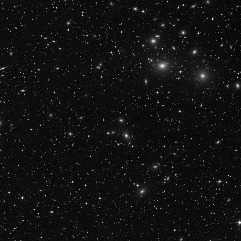 NGC 1283 - Elliptical Galaxy in Perseus | TheSkyLive