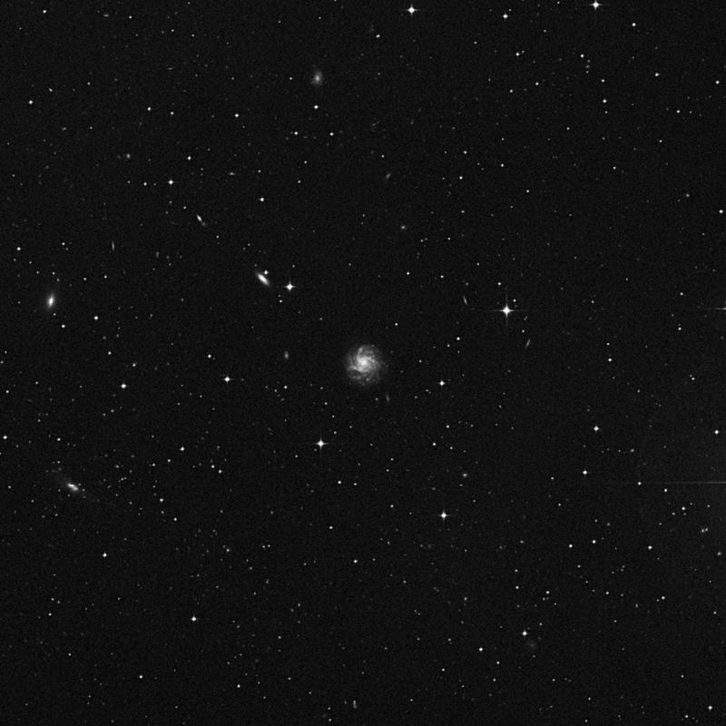 NGC 1376 - Spiral Galaxy in Eridanus | TheSkyLive