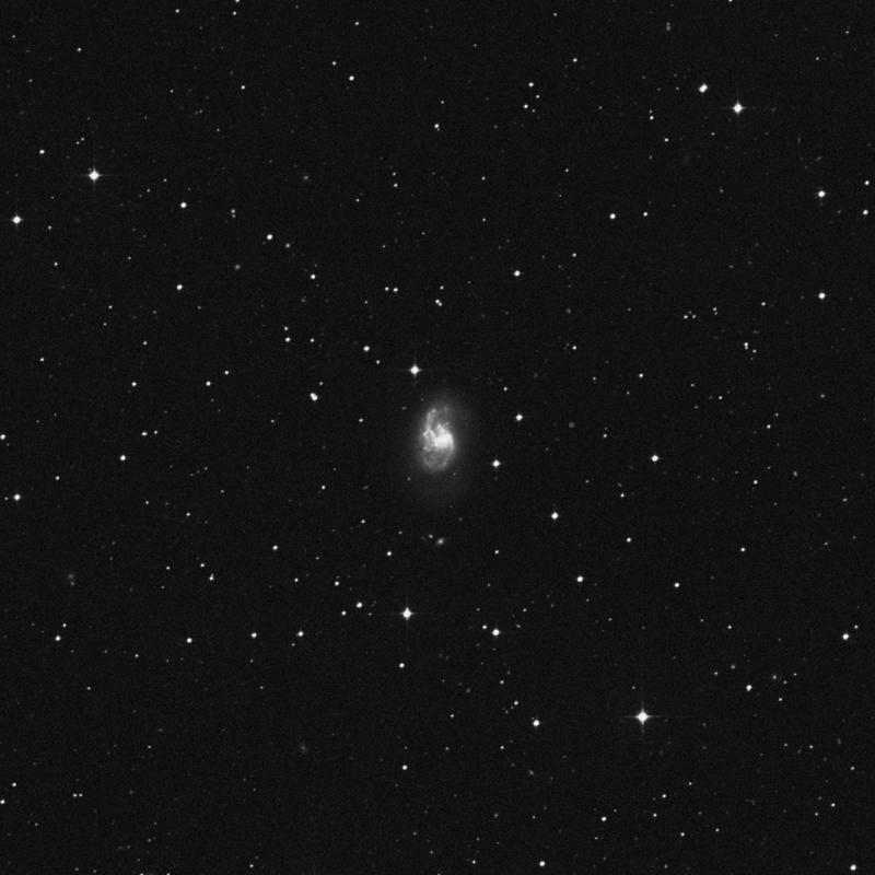 NGC 1385 - Spiral Galaxy in Fornax | TheSkyLive