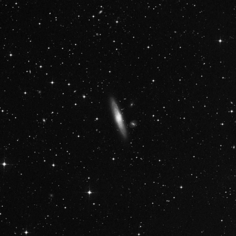 NGC 1515 - Intermediate Spiral Galaxy in Dorado | TheSkyLive