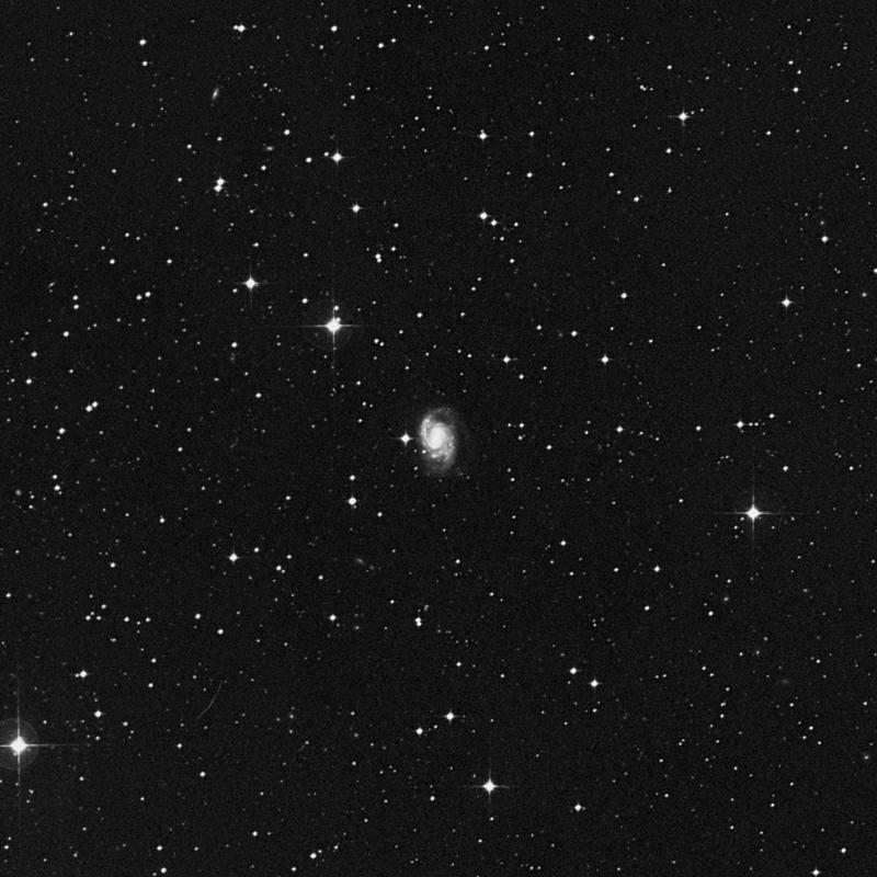 NGC 1832 - Spiral Galaxy in Lepus | TheSkyLive