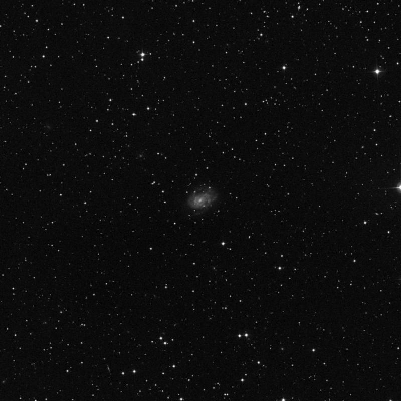 NGC 2273A - Intermediate Spiral Galaxy in Lynx | TheSkyLive
