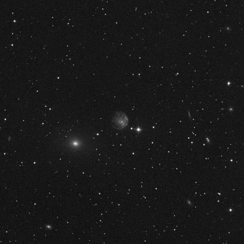 NGC 2276 - Intermediate Spiral Galaxy in Cepheus | TheSkyLive