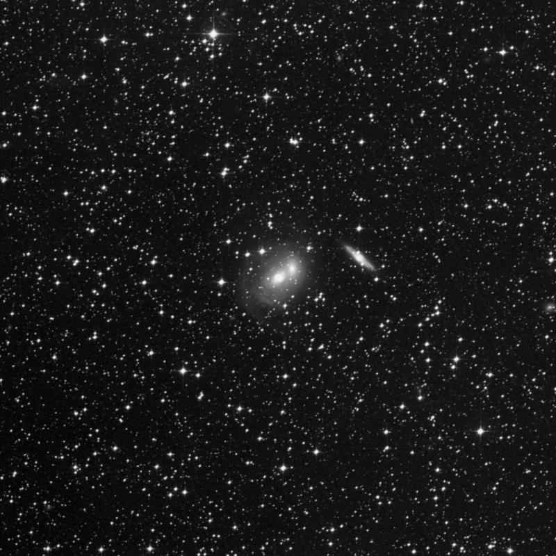 NGC 2293 - Lenticular Galaxy in Canis Major | TheSkyLive