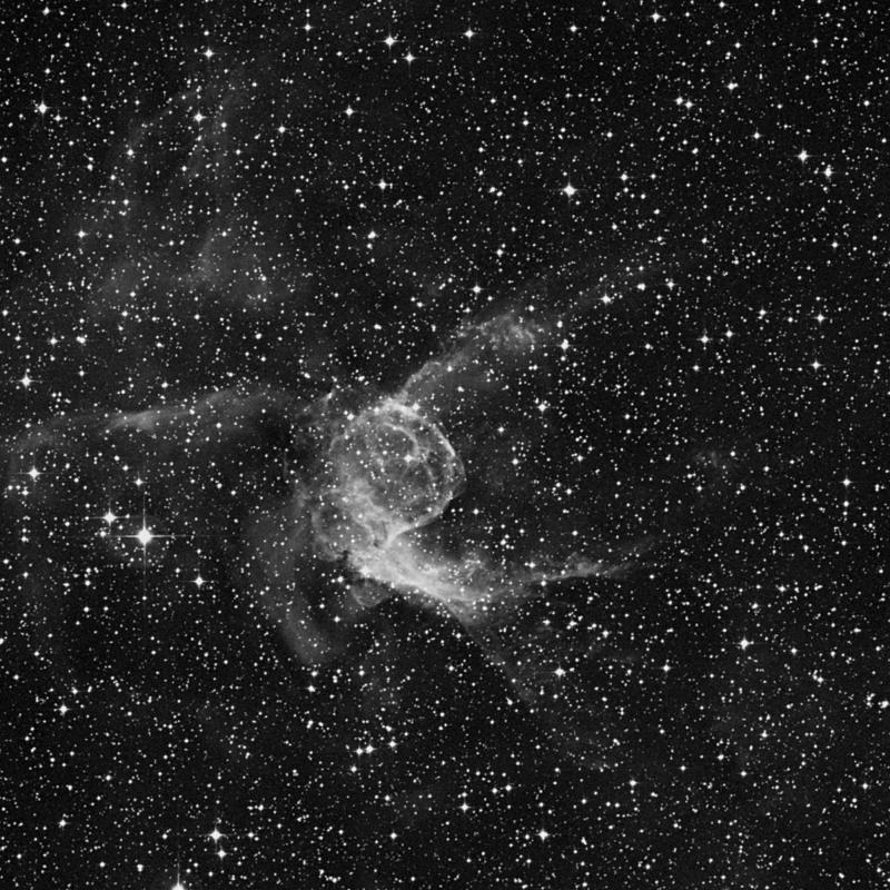 NGC 2361 - Nebula in Canis Major | TheSkyLive