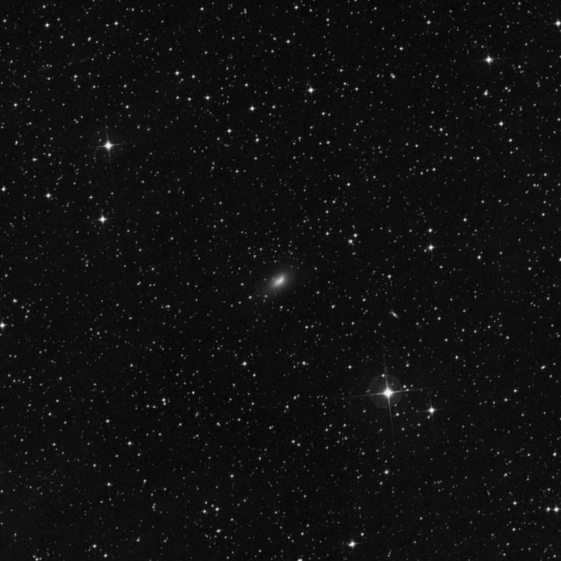 NGC 2915 - Barred Spiral Galaxy in Chamaeleon | TheSkyLive