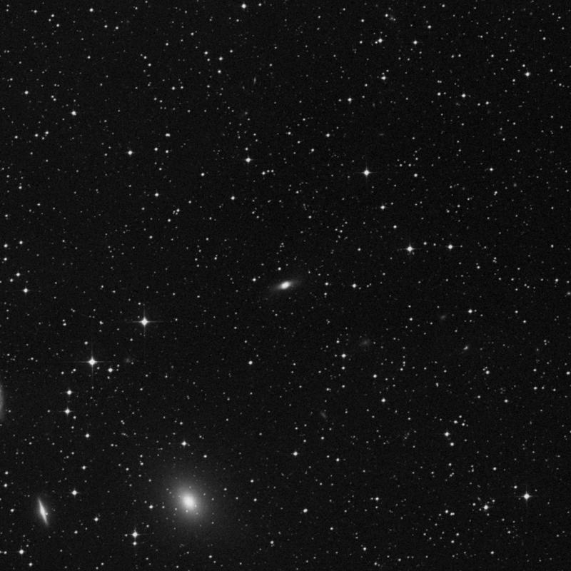 NGC 3557B - Elliptical Galaxy in Centaurus | TheSkyLive