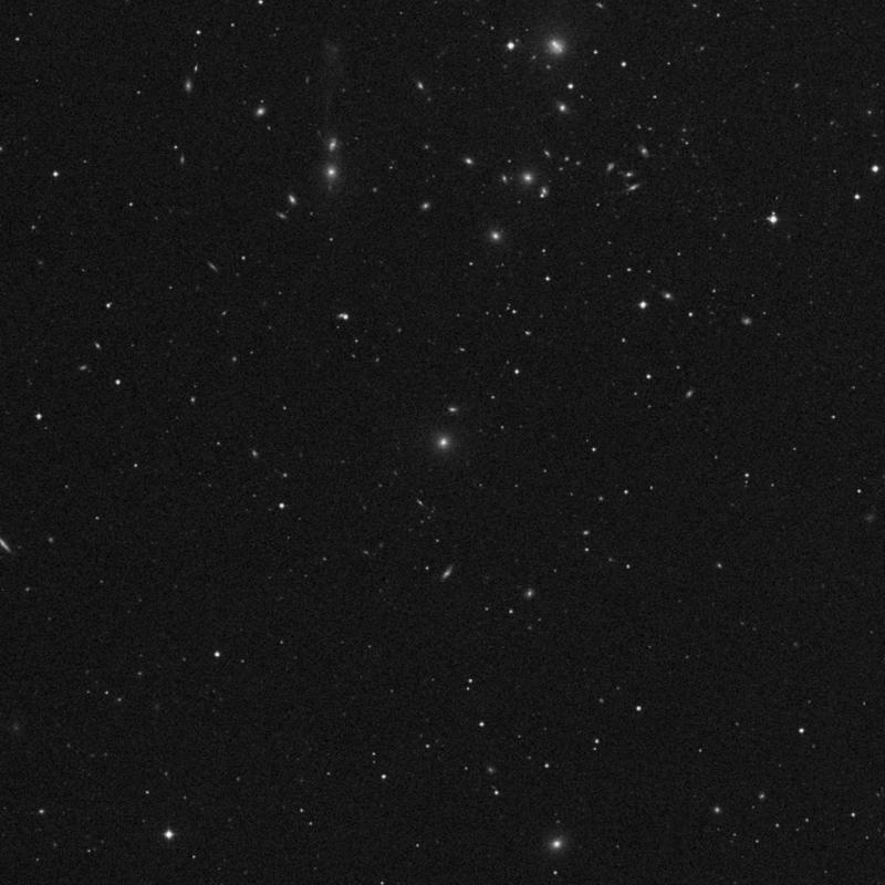 NGC 3558 - Elliptical Galaxy in Ursa Major | TheSkyLive