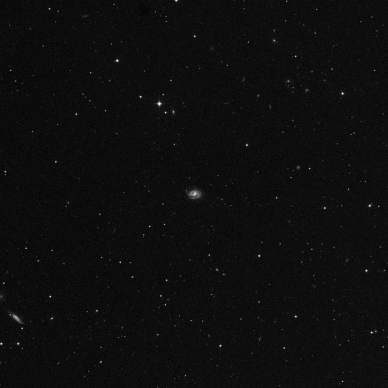 NGC 3902 - Intermediate Spiral Galaxy in Leo | TheSkyLive