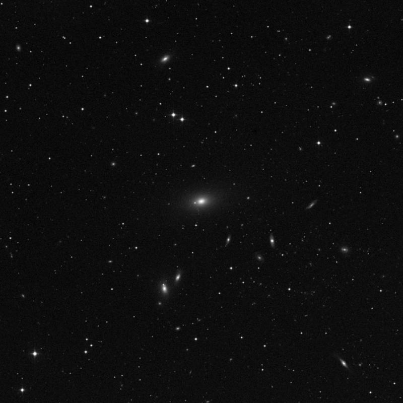 NGC 4073 - Elliptical Galaxy in Virgo | TheSkyLive