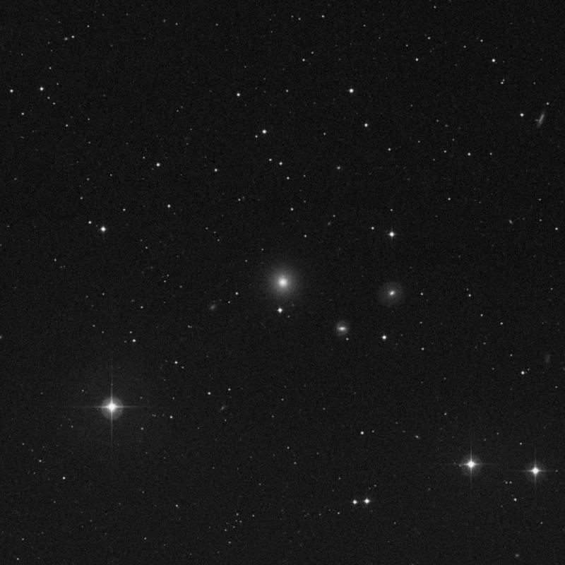 NGC 4339 - Elliptical Galaxy in Virgo | TheSkyLive