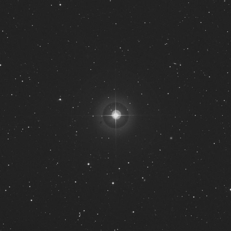 87 Pegasi - Star in Pegasus | TheSkyLive