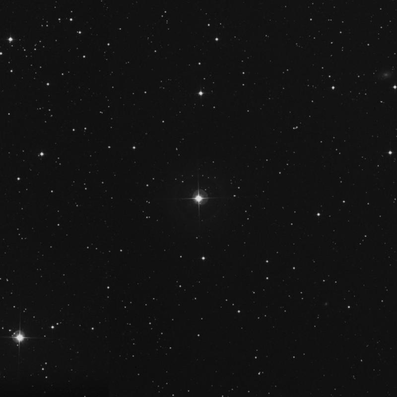 HR44 - Star in Andromeda | TheSkyLive