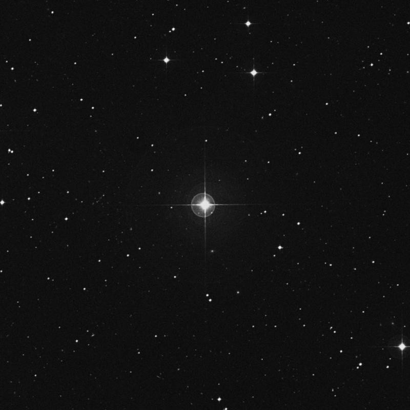 HR51 - Star in Cetus | TheSkyLive