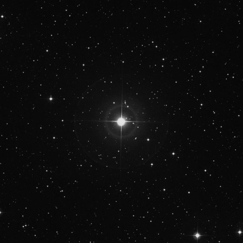 σ Andromedae (sigma Andromedae) - Star in Andromeda | TheSkyLive