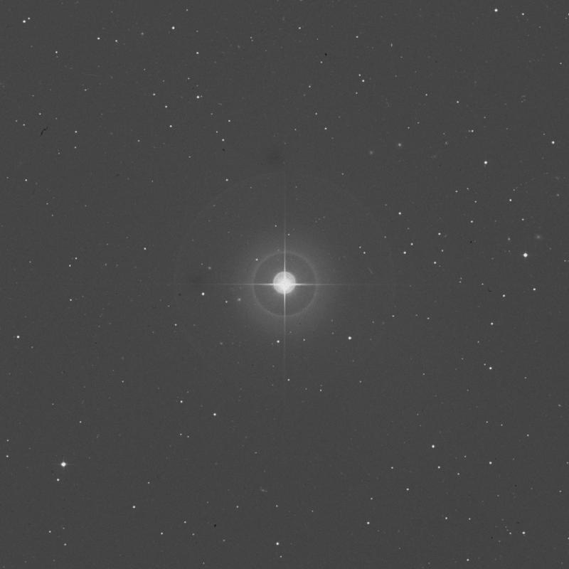 41 Piscium - Star in Pisces | TheSkyLive