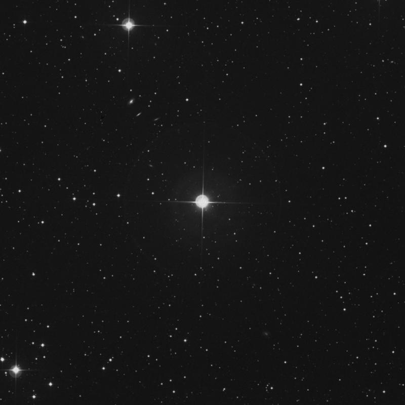 ρ Andromedae (rho Andromedae) - Star in Andromeda | TheSkyLive