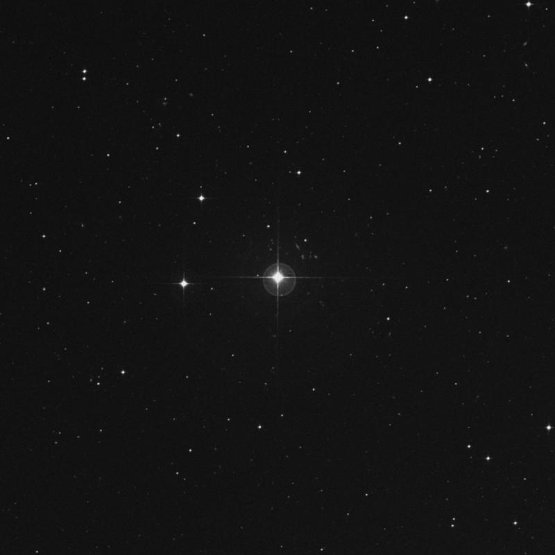 HR9 - Star in Cetus | TheSkyLive