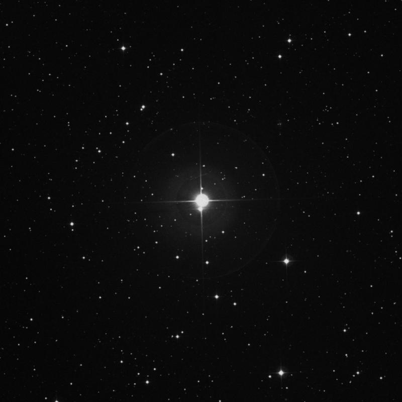π Andromedae (pi Andromedae) - Star in Andromeda | TheSkyLive