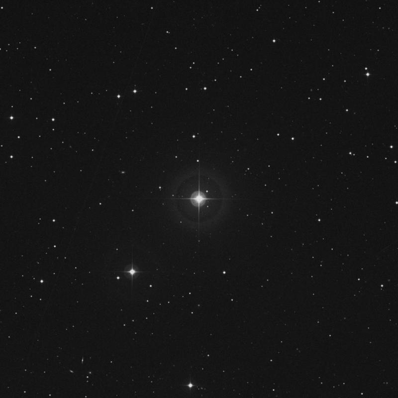 53 Piscium - Star in Pisces | TheSkyLive