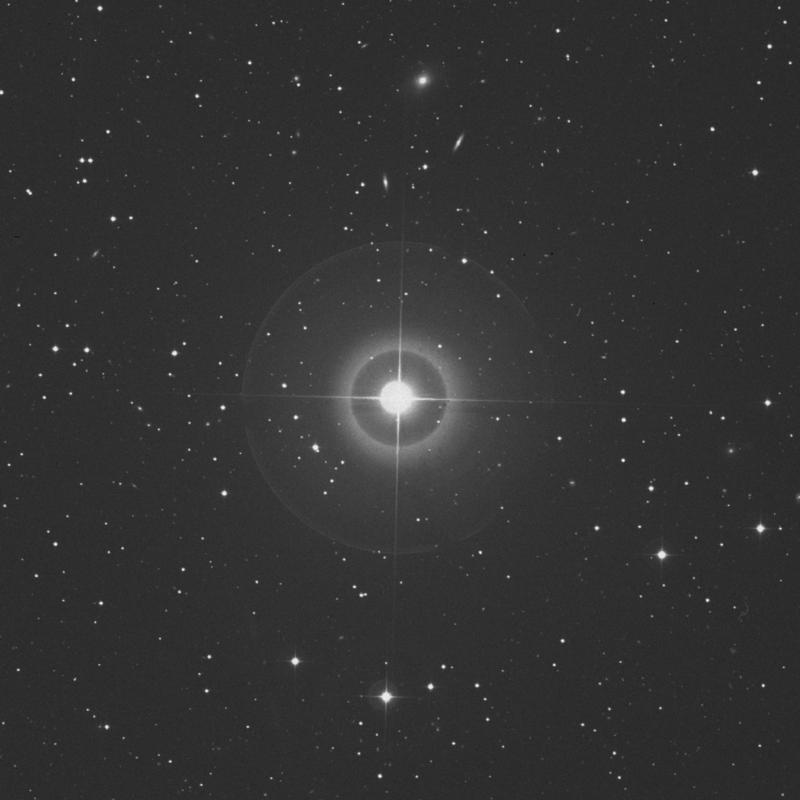 ε Andromedae (epsilon Andromedae) - Star in Andromeda | TheSkyLive