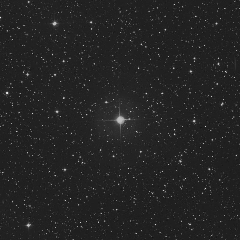 36 Persei - Star in Perseus | TheSkyLive