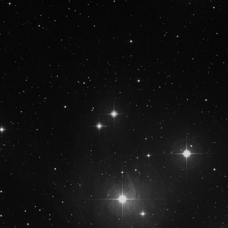 Asterope - 21 Tauri - Star in Taurus | TheSkyLive