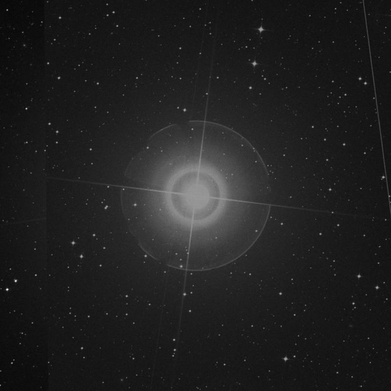 γ Hydri (gamma Hydri) - Star in Hydrus | TheSkyLive