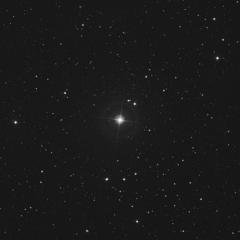 HR1304 - Star in Cepheus | TheSkyLive