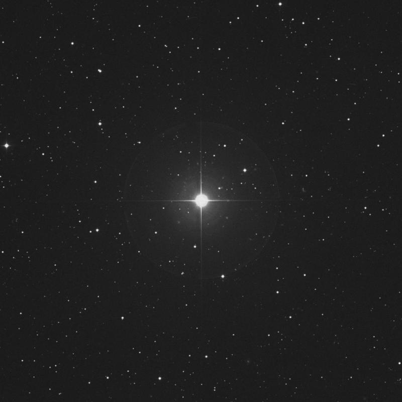 π Tauri (pi Tauri) - Star in Taurus | TheSkyLive