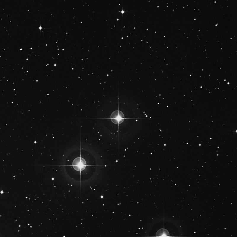 46 Eridani - Star in Eridanus | TheSkyLive