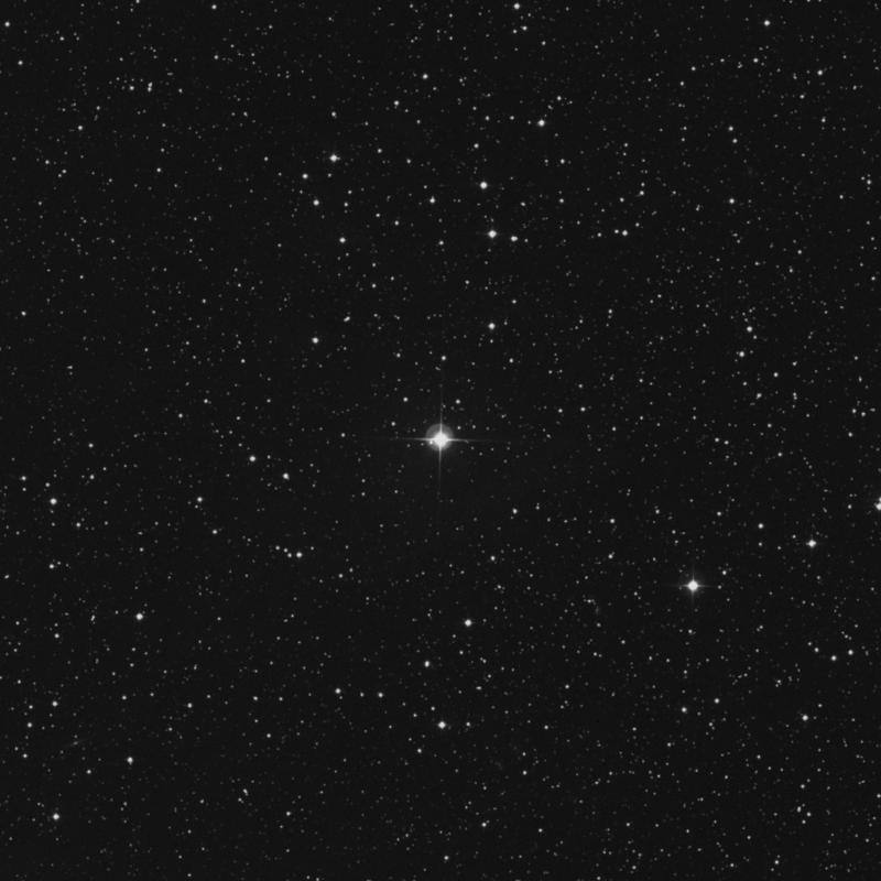 HR1546 - Star in Camelopardalis | TheSkyLive