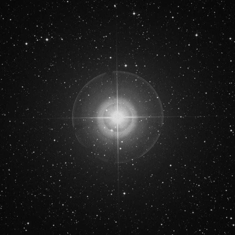 Hassaleh - ι Aurigae (iota Aurigae) - Star in Auriga | TheSkyLive