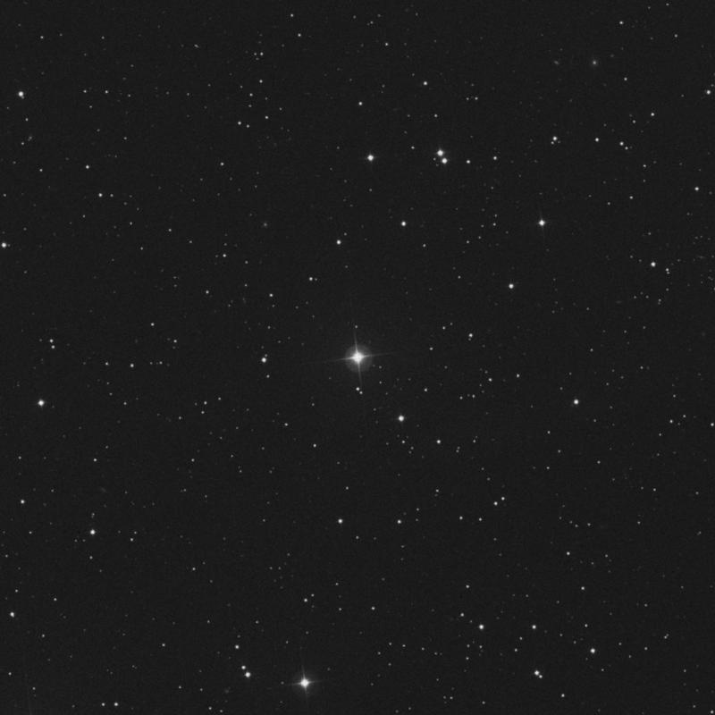 HR1616 - Star in Cepheus | TheSkyLive