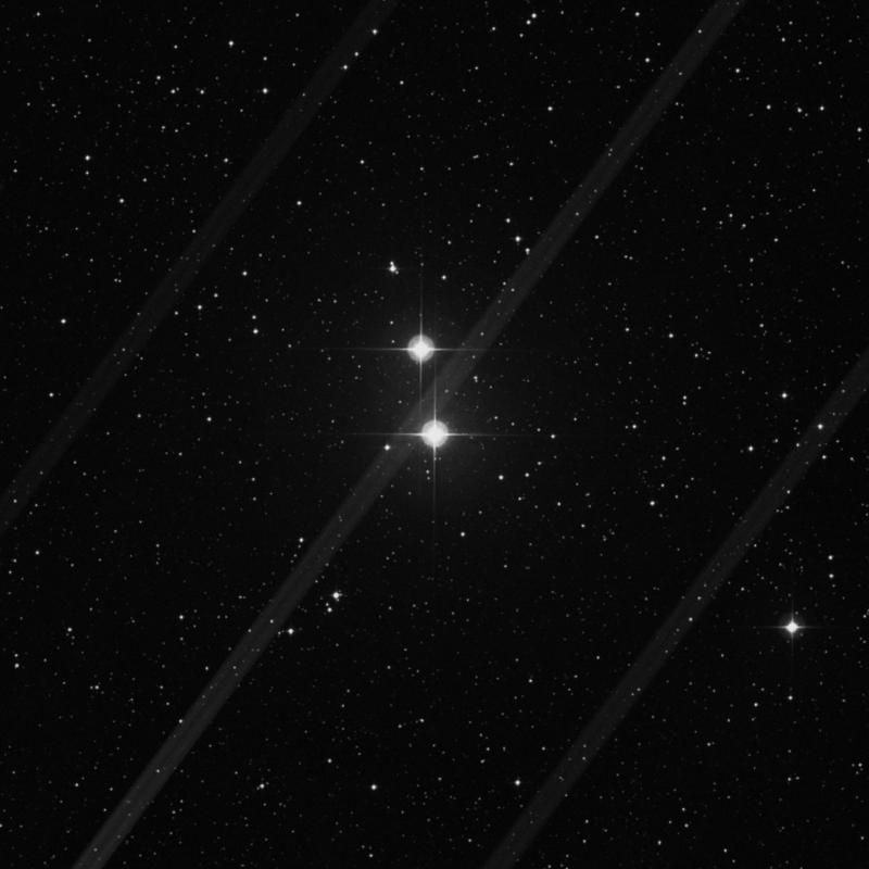 11 Camelopardalis - Star in Camelopardalis | TheSkyLive