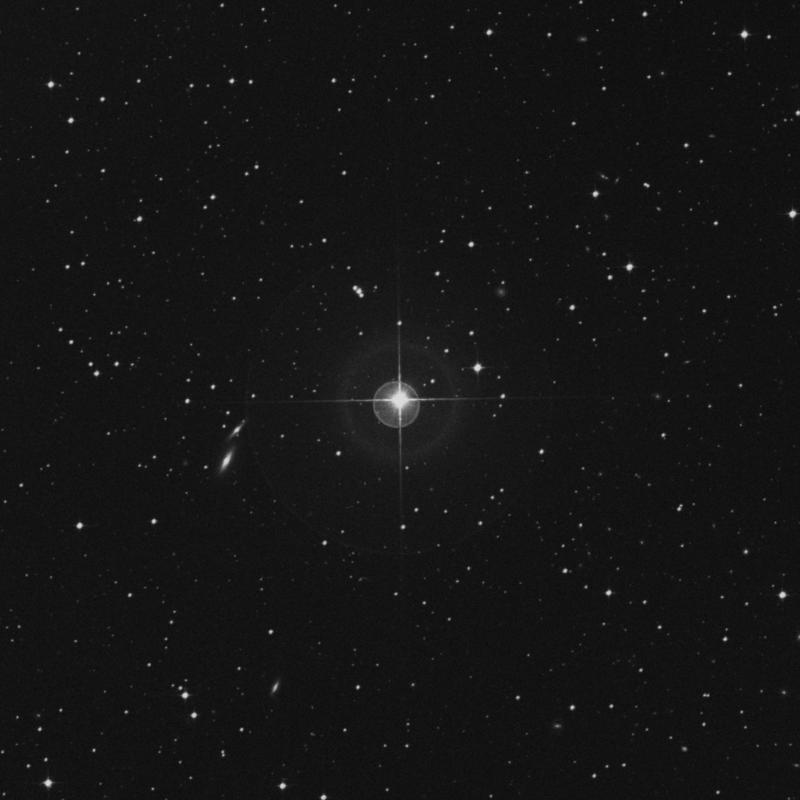 1 Leporis - Star in Lepus | TheSkyLive